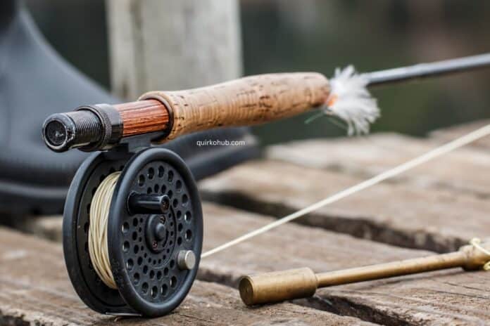 Key Differences Between Freshwater and Saltwater Fly Fishing - Quirko hub