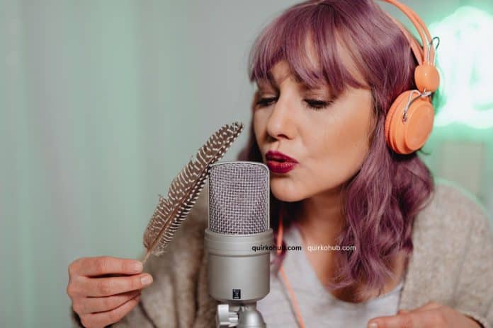 Discog Define: The Complete Guide to Discography and Its Meaning ...