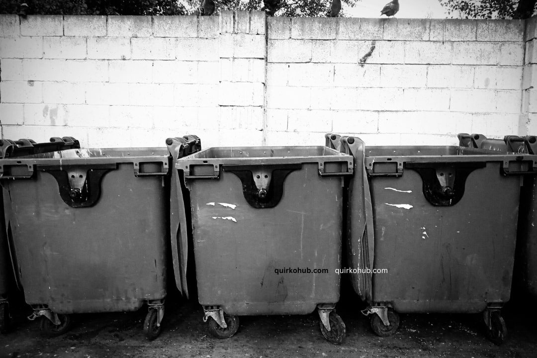 Easy Dumpster Rentals for Home Cleanouts and Yard Waste - Quirko hub
