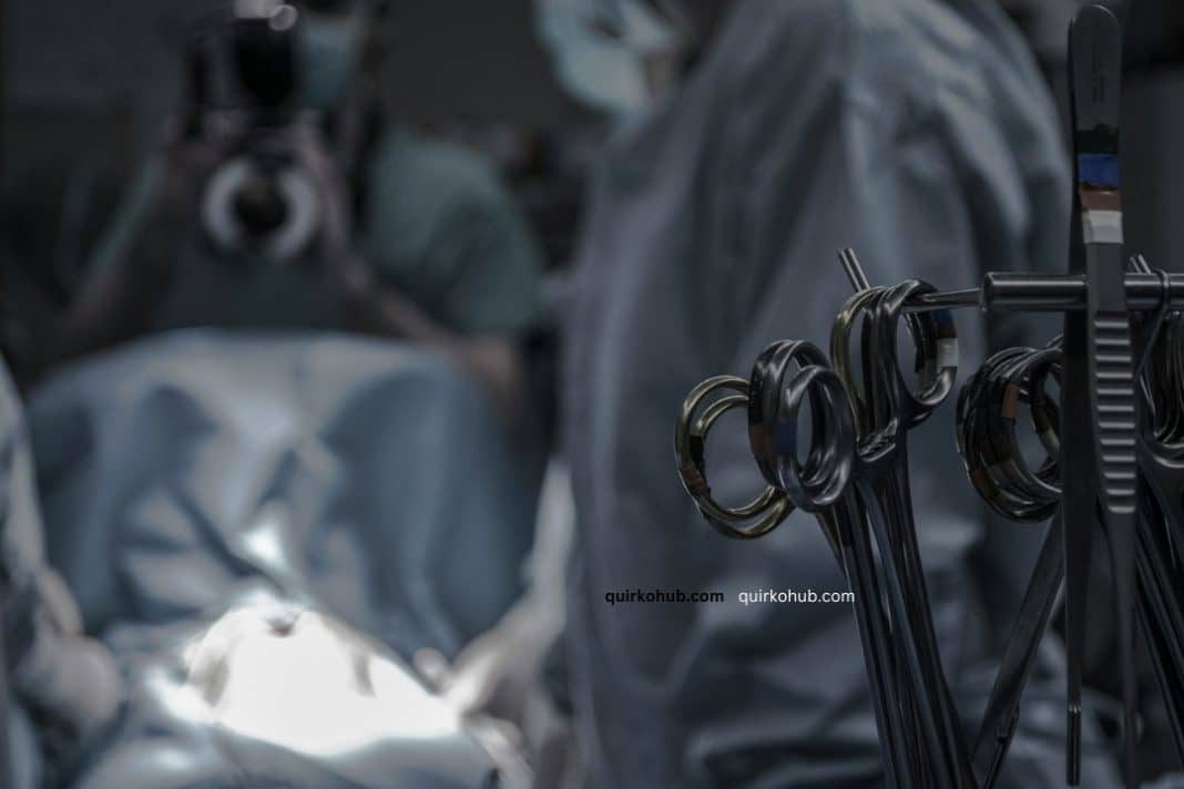 Understanding the Different Types of Shoulder Replacement Surgery ...
