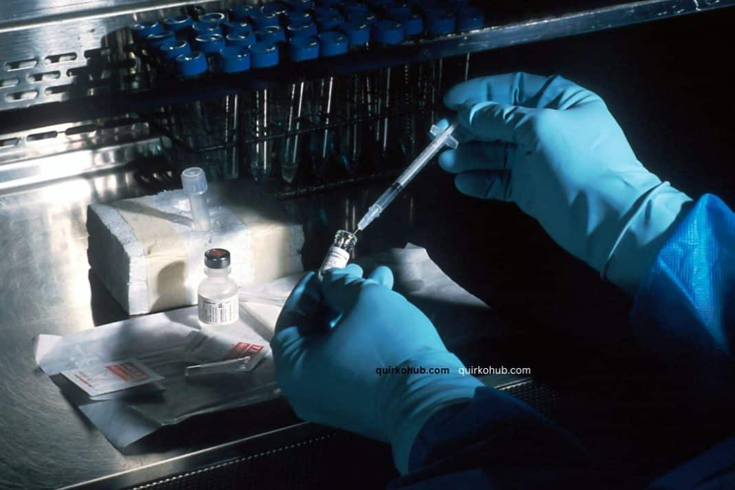 The Importance of Forensic Evidence in Abuse Investigations - Quirko hub