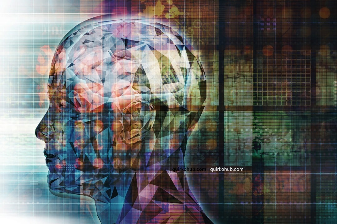 MK-677 vs. Ipamorelin: Which is Right for Your Research? - Quirko hub